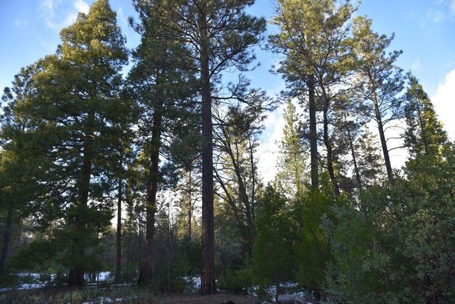 Whitmore, CA Homes For Sale & Whitmore, CA Real Estate | Trulia