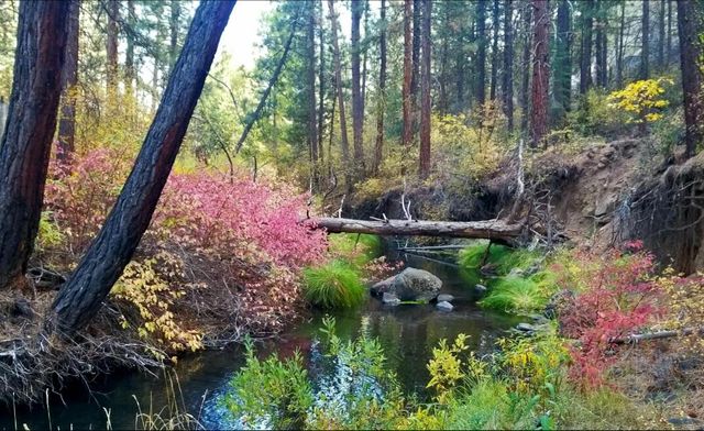 Adin, CA Homes For Sale & Adin, CA Real Estate | Trulia