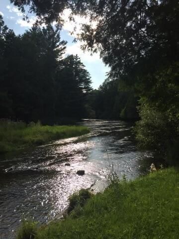 White Cloud, MI Homes For Sale & Real Estate