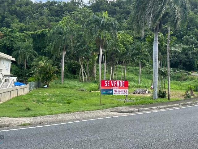 Moca, PR Homes For Sale & Moca, PR Real Estate | Trulia