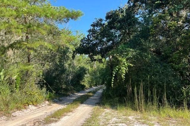 Florida Real Estate & FL Homes For Sale | Trulia