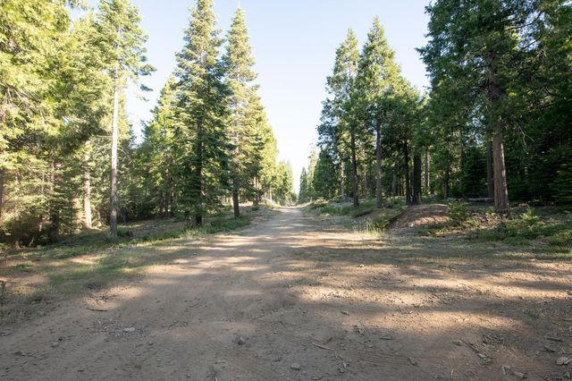 Shaver Lake, CA Homes For Sale & Real Estate - 146 Homes | Trulia