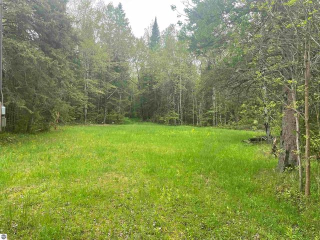 Newberry, MI Homes For Sale & Real Estate