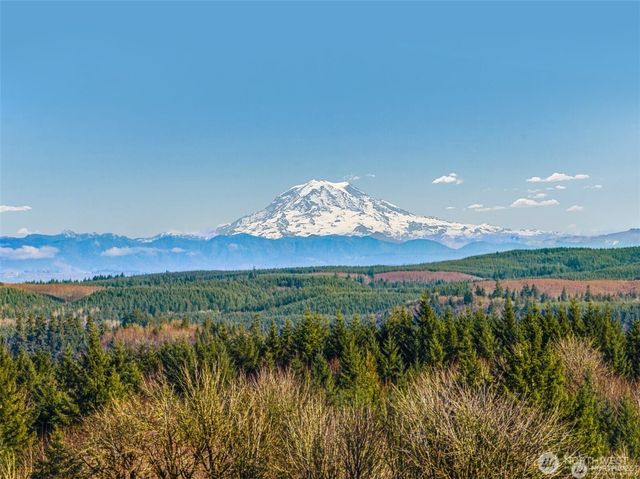 Castle Rock, WA Homes For Sale & Real Estate
