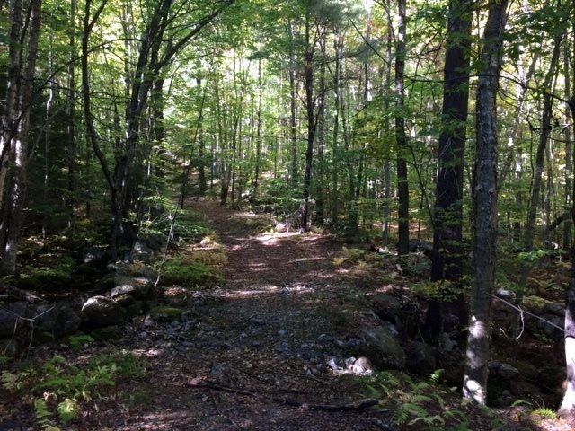 Dean Hill Rd, Hillsborough, NH 03244 - See Est. Value, Schools & More