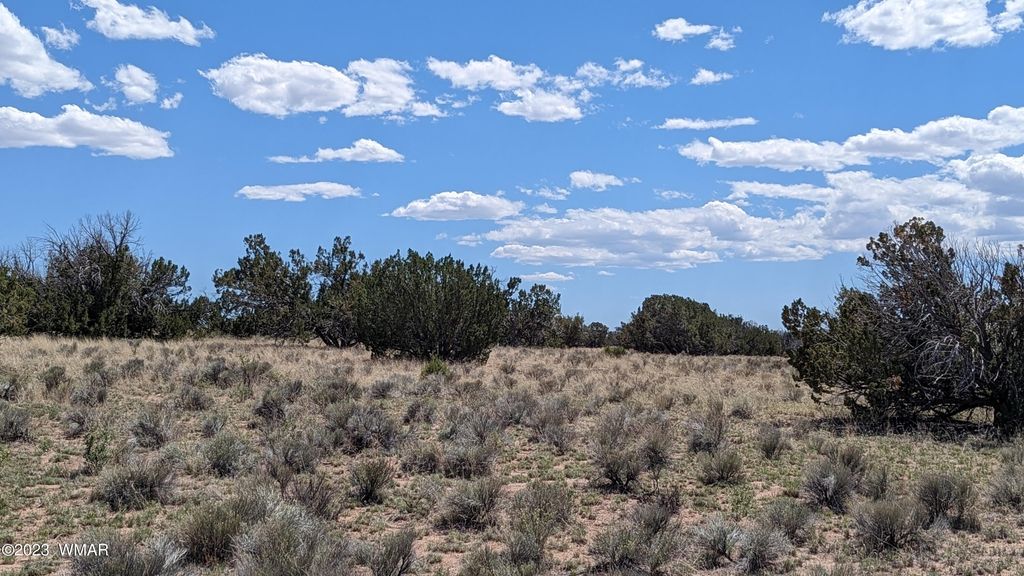 605 Woodland Valley Rnch, Saint Johns, AZ 85936 | MLS# 246077 | Trulia