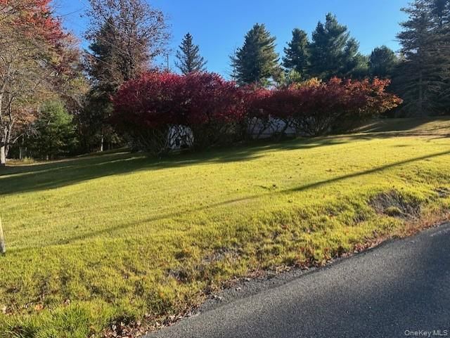 25 Miles and Marguerite, Mountain Dale, NY 12763 | MLS# 923192 | Trulia