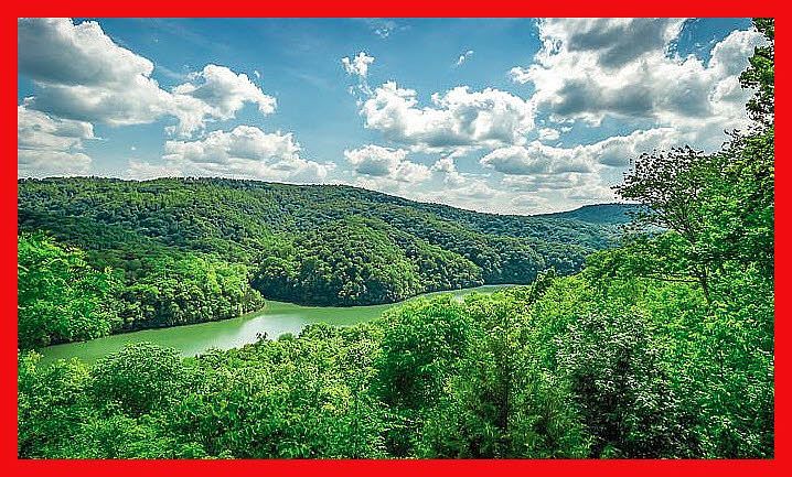 Mitchelle creek pointe, Allons, TN 38541 - See Est. Value, Schools & More