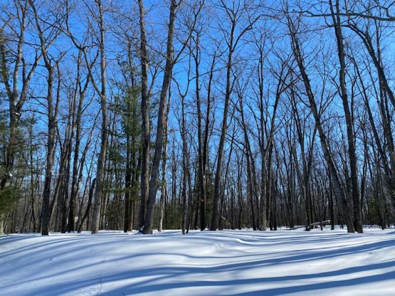 Hilltop Pkwy, Spruce, MI 48762 - See Est. Value, Schools & More