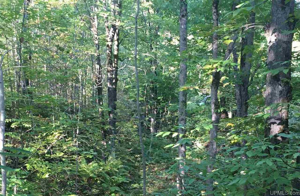 Peshekee Grade, Michigamme, MI 49861 - See Est. Value, Schools & More