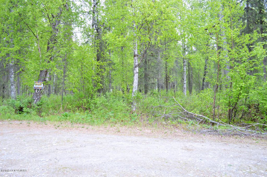 23769 S Zobil Dr, Trapper Creek, AK 99683 - See Est. Value, Schools & More