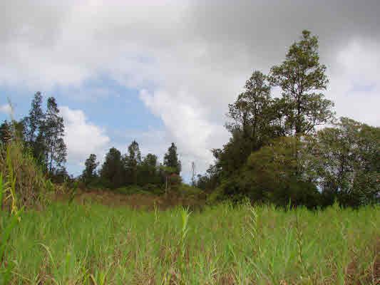 11-3412 Hibiscus St #7267, Mountain View, HI 96771 - See Est. Value ...