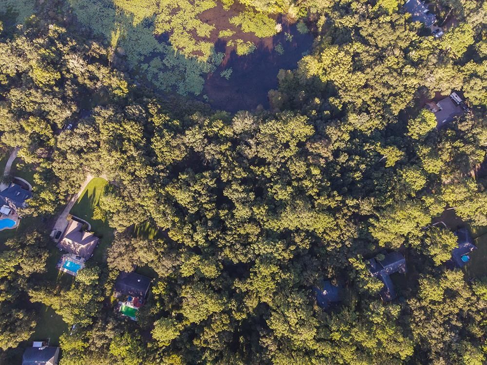 10557 Lake Iamonia Dr, Tallahassee, FL 32312 - See Est. Value, Schools ...