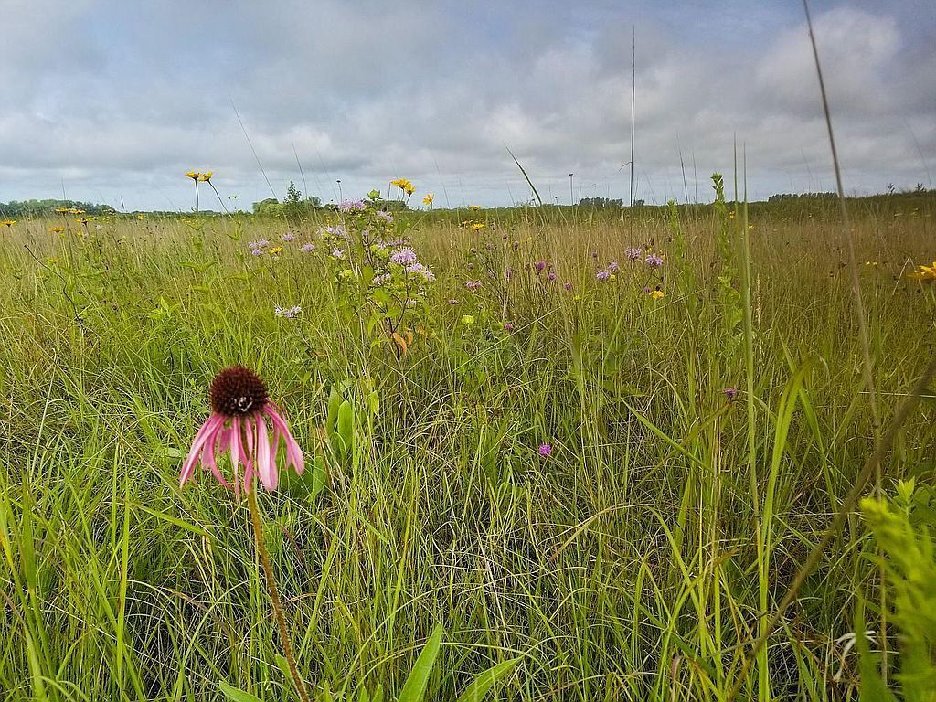 Address Not Disclosed, Ulen, MN 56585 - See Est. Value, Schools & More