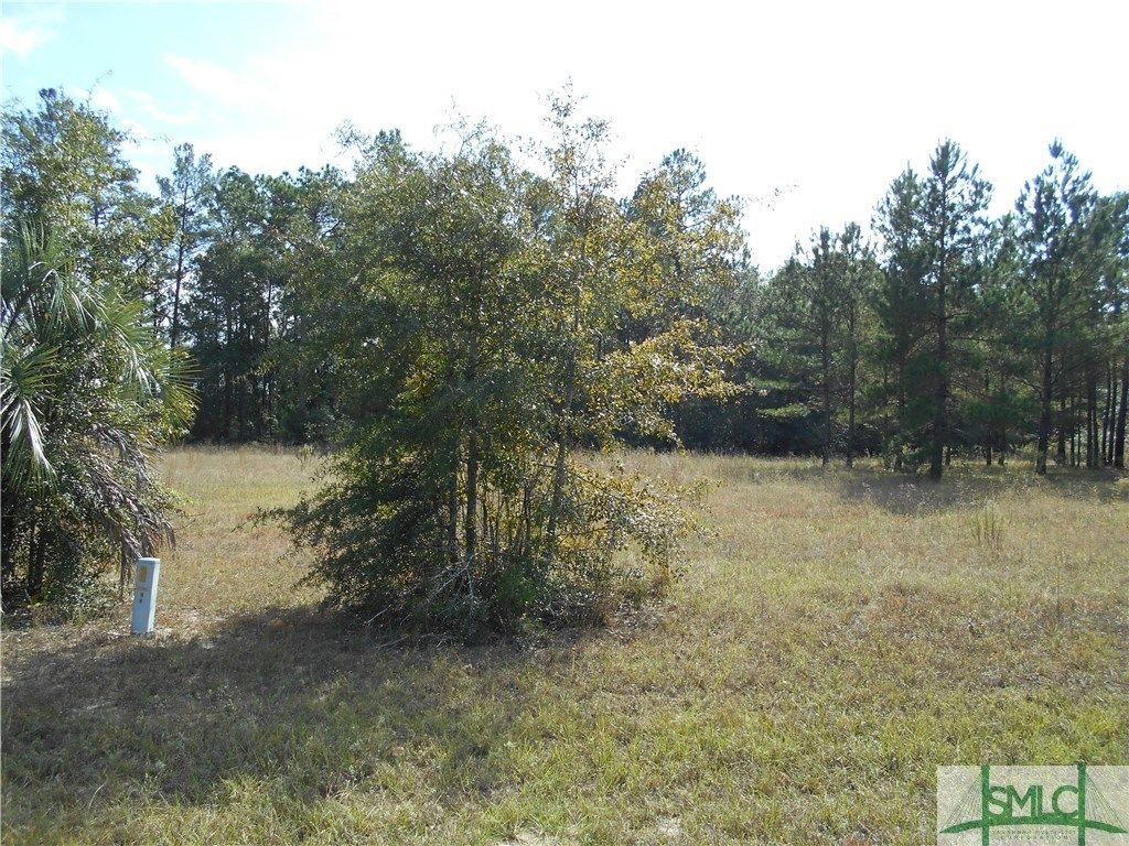 Blue Springs Rd, Newington, GA 30446 | Trulia