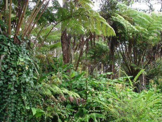 Kalani Honua, Volcano, HI 96785 - See Est. Value, Schools & More