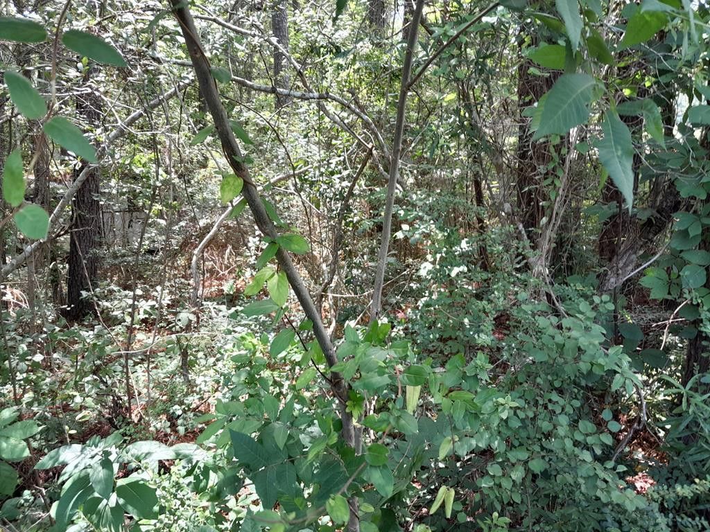 Baron Dr, Pineville, SC 29468 | MLS# 170300 | Trulia