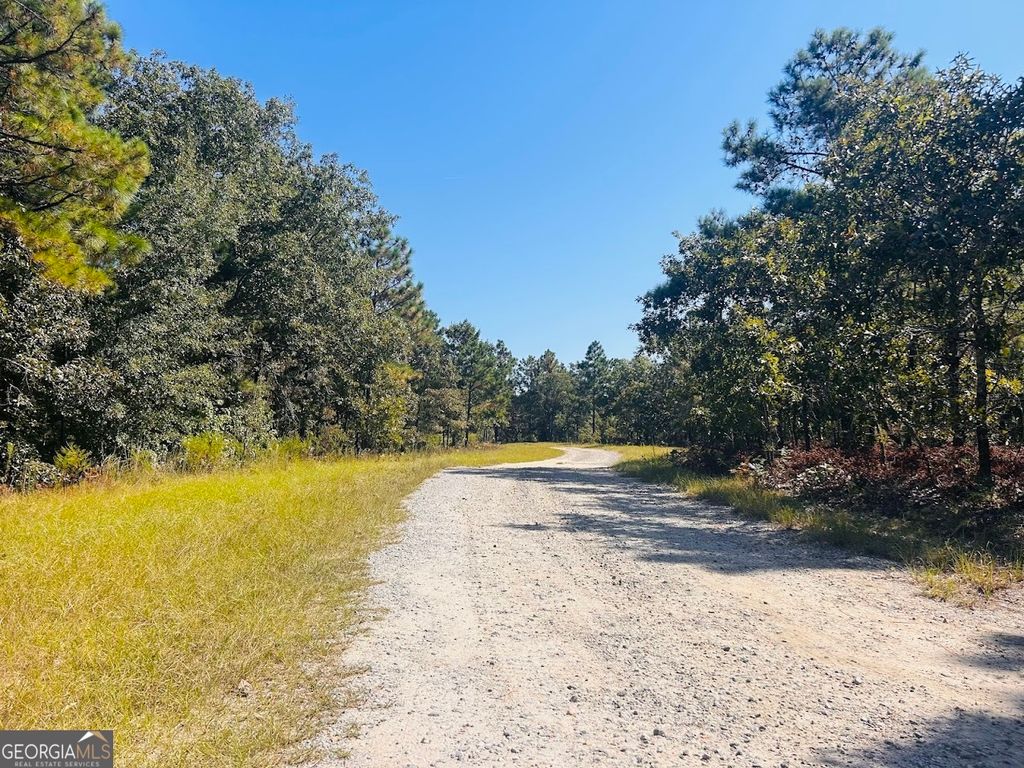 6842 State Highway 240 #1, Box Springs, GA 31801 | MLS# 10602934 | Trulia