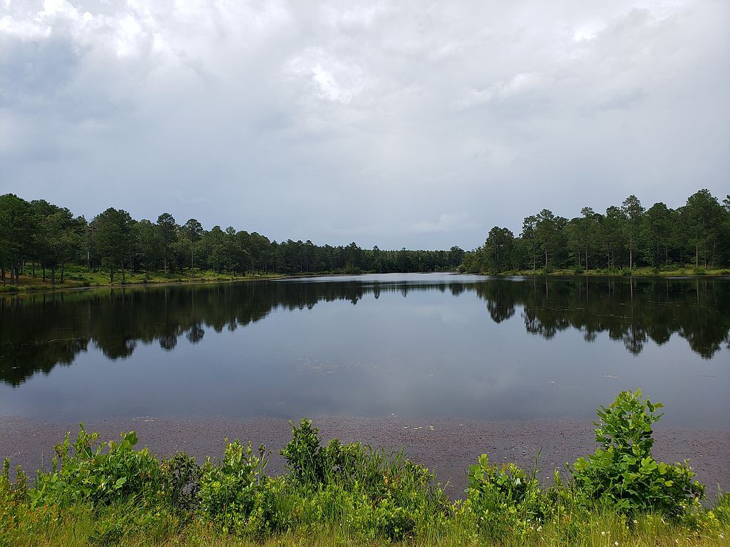 51 Mallard Cir, Butler, GA 31006 - See Est. Value, Schools & More