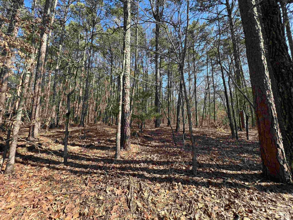 Timber Grove Rd, Clinton, AR 72031 - See Est. Value, Schools & More