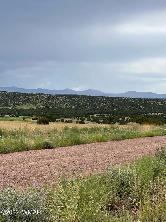 39 County Road 5084, Concho, AZ 85924 - See Est. Value, Schools & More