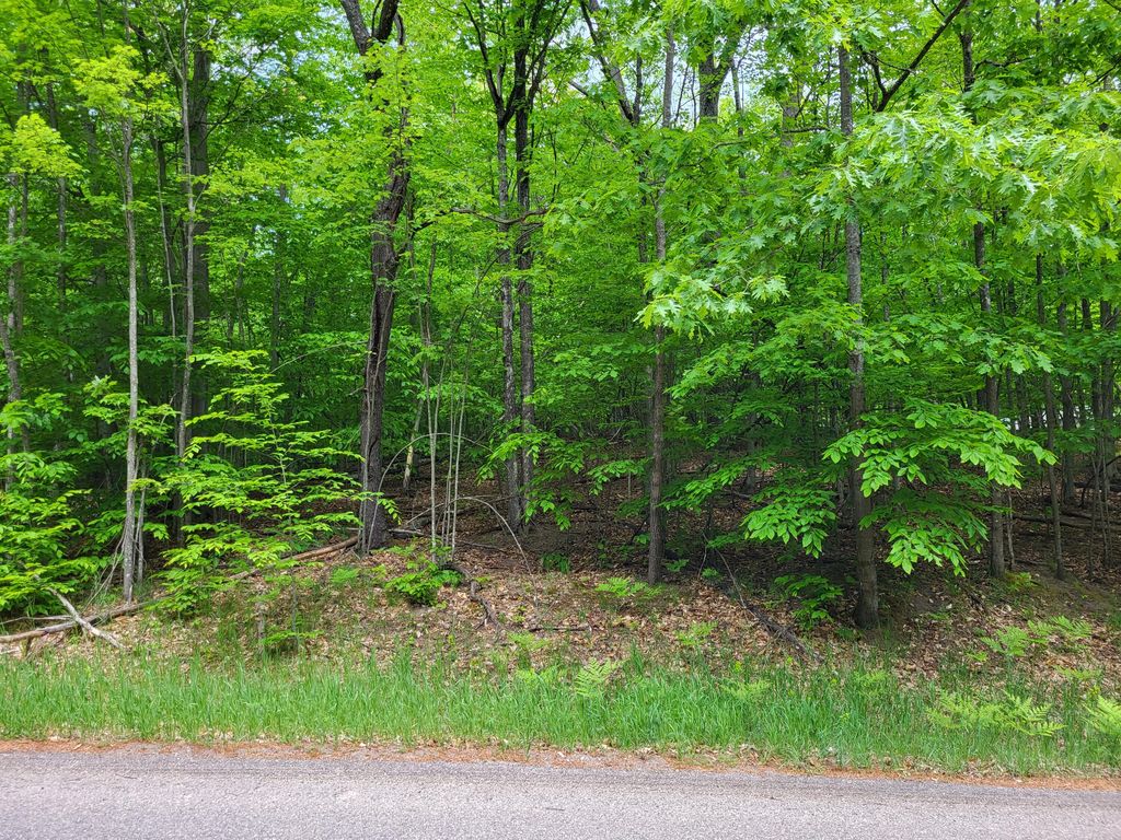 Lot 304 Michaywe Dr, Gaylord, MI 49735 - See Est. Value, Schools & More