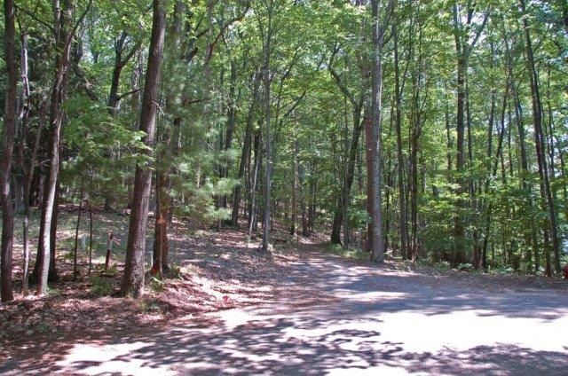 4 Loggers Run, Glen Arbor, MI 49636 - See Est. Value, Schools & More