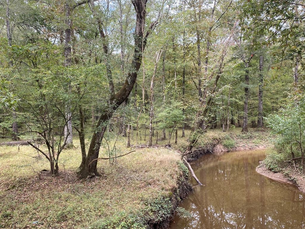 Ouachita Road 9, Stephens, AR 71764 - See Est. Value, Schools & More