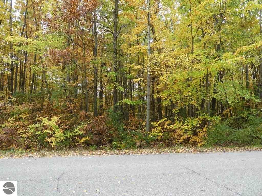 6000 W Shore Dr, Weidman, MI 48893 - See Est. Value, Schools & More