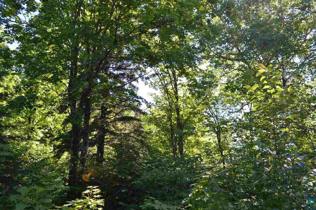 4 Maple Leaf Trl, Lutsen, MN 55612 | Trulia