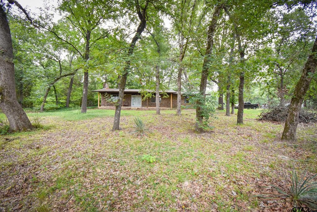 408 Tarrapin, Murchison, TX 75778 | MLS# 25002788 | Trulia