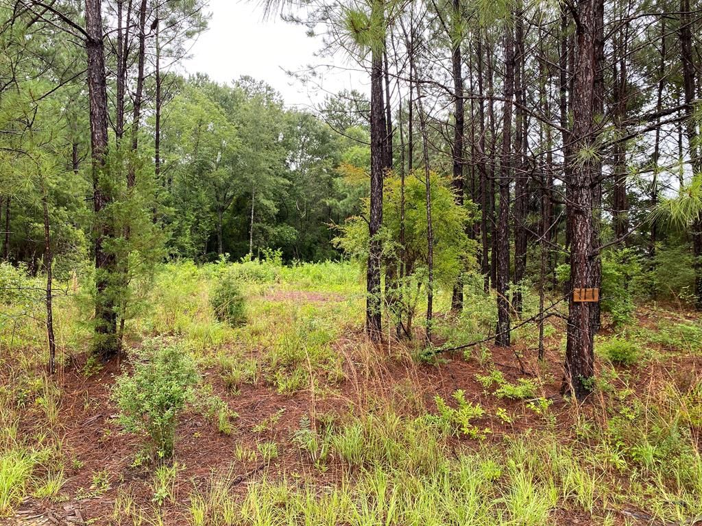 Ladner Dr, Lumberton, MS 39455 - See Est. Value, Schools & More