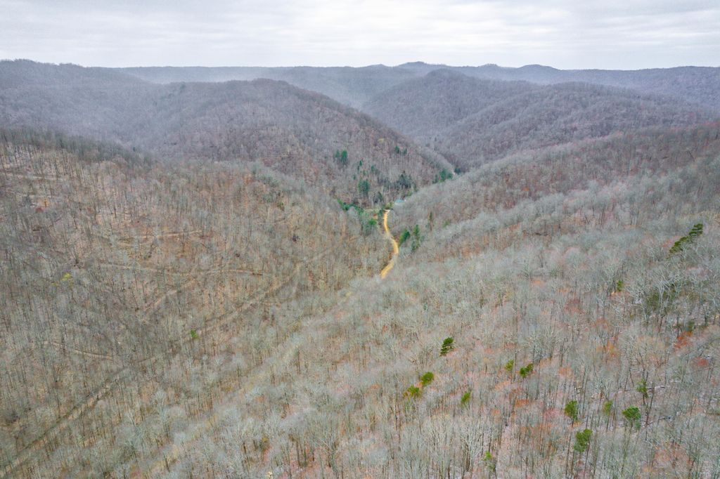 Cow Fork Rd, Beverly, KY 40913 - See Est. Value, Schools & More