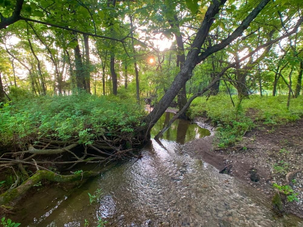 240th St, Fort Scott, KS 66701 - See Est. Value, Schools & More