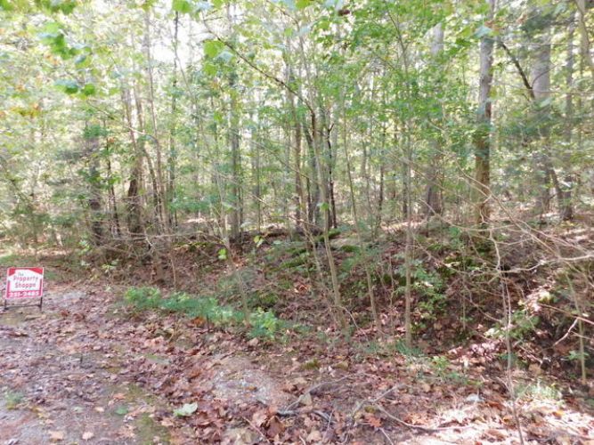 Mount Springs Rd, Batesville, AR 72501 - See Est. Value, Schools & More