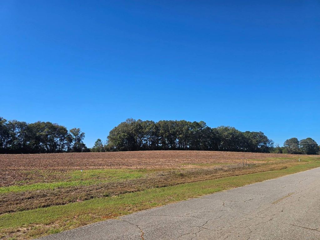 County Road 107 #A, Red Level, AL 36474 | MLS# 11596931 | Trulia
