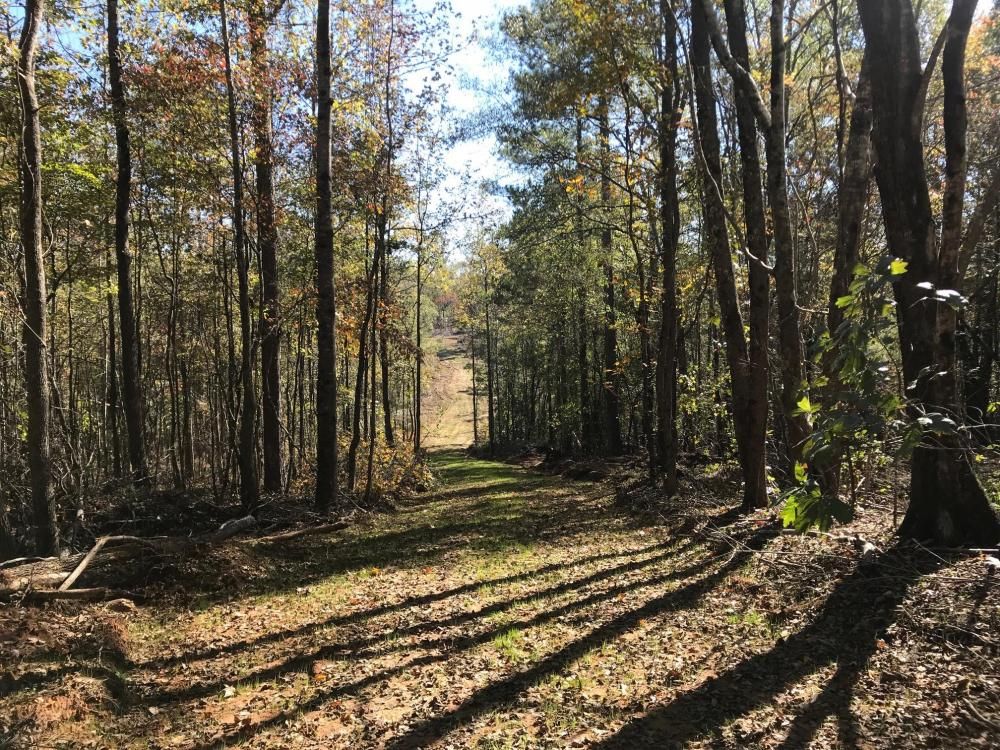 County Road 34, Winfield, AL 35594 | Trulia