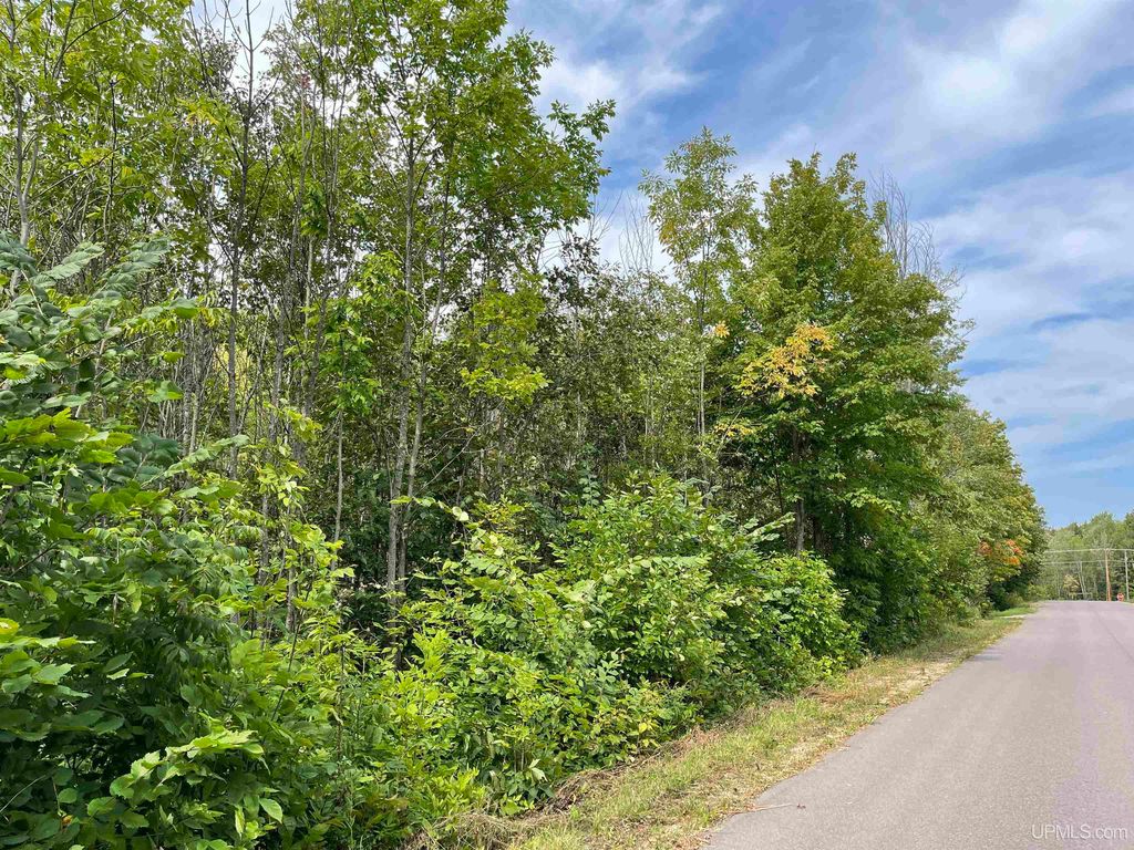 4 Acres Off Of Deerton Mi 49822 See Est Value Schools And More