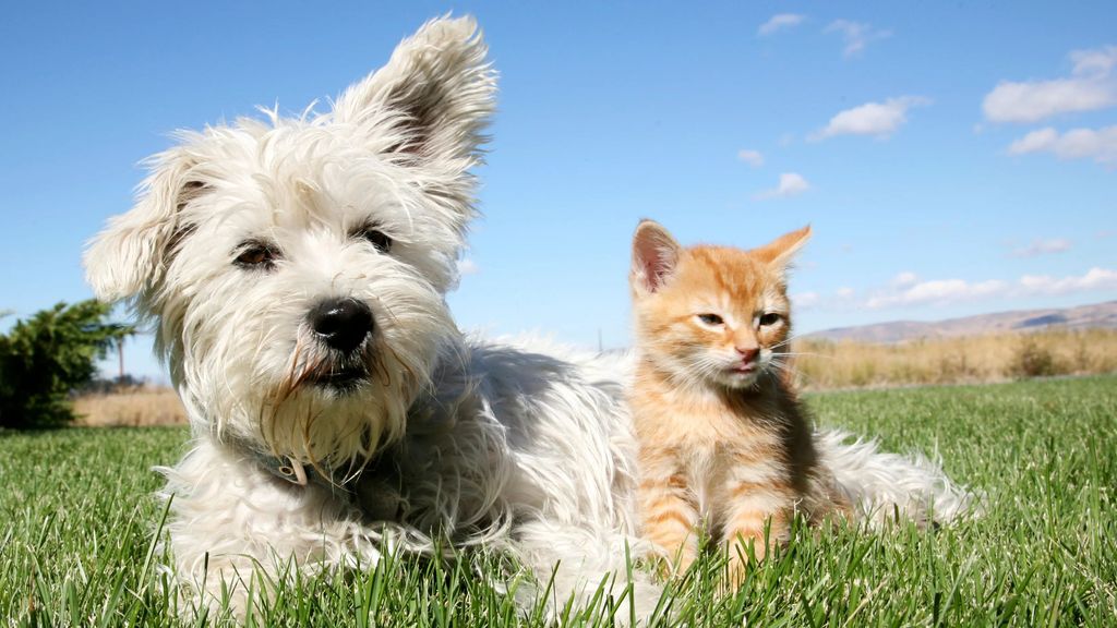 2665 Favor Rd SW #2L-2L27, Marietta, GA 30060 - See Est. Value, Schools ...