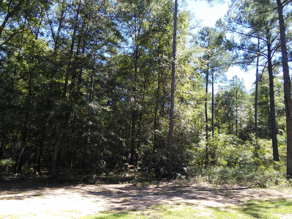 66 Beckwith Rd, Ellaville, GA 31806 - See Est. Value, Schools & More
