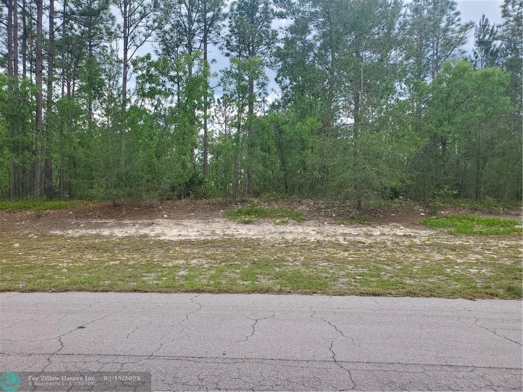 1 SW 81st Terrace Rd, Ocala, FL 34473 | MLS# F10381538 | Trulia