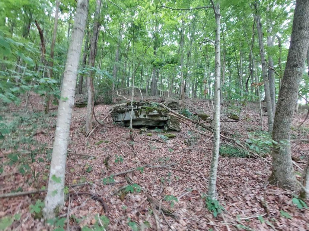 Eli Sparks Rd, Irvine, KY 40336 | MLS# 24004051 | Trulia