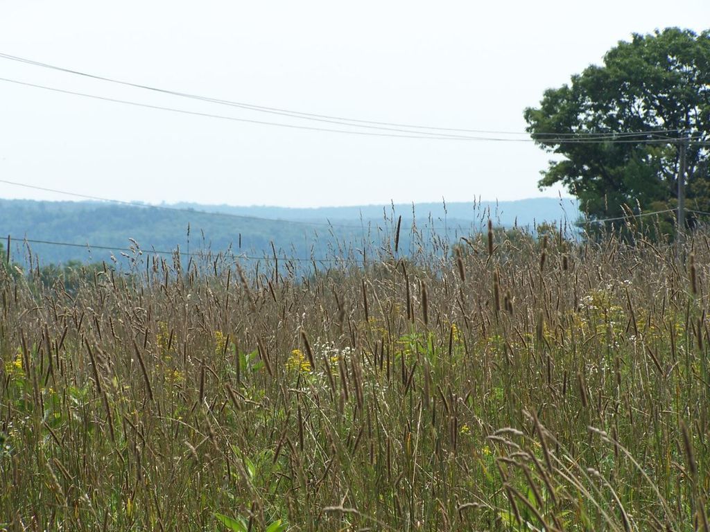 Conklin Hill Rd, Damascus, PA 18415 - See Est. Value, Schools & More