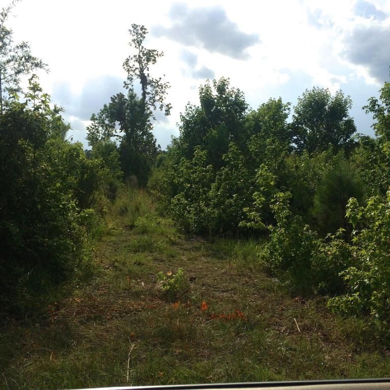 Long Acre Dr, Bonneau, SC 29431 - See Est. Value, Schools & More