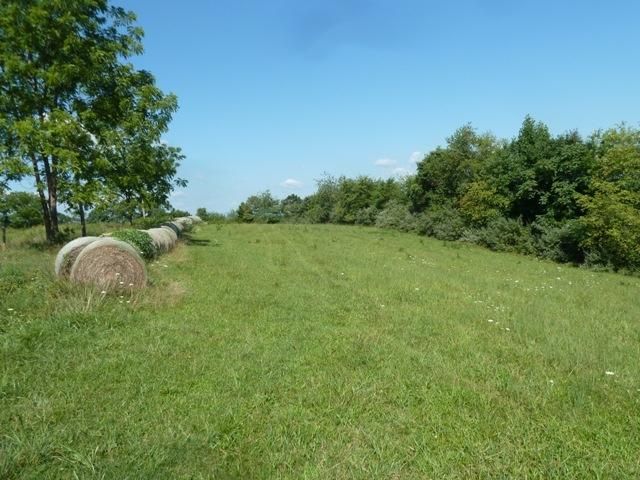 Oak Forest Rd, Bassett, VA 24055 - See Est. Value, Schools & More