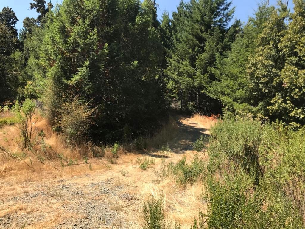 Barnum Rd, Miranda, CA 95553 | Trulia