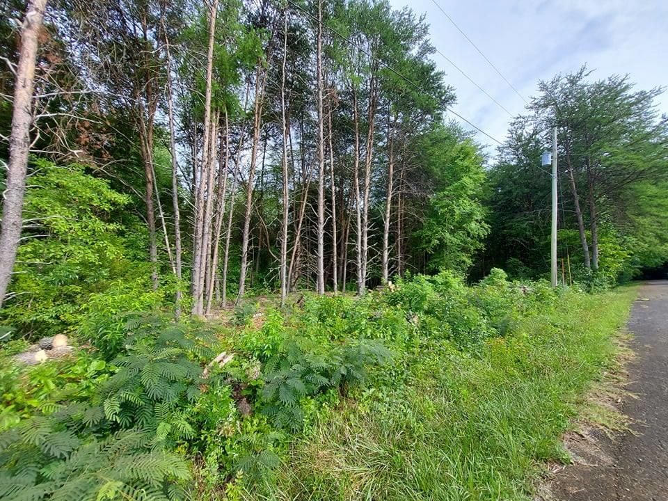 2255 Grazeland Dr, Morristown, TN 37814 - See Est. Value, Schools & More