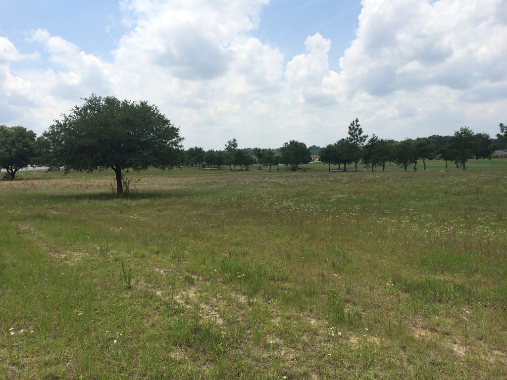 Dublin Eastman Rd, Dexter, GA 31019 - See Est. Value, Schools & More