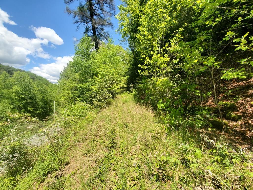 22 Black Forest Dr, Bryson City, NC 28713 | Trulia