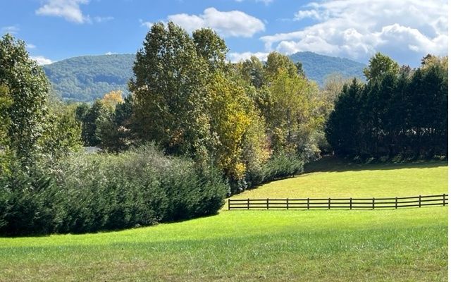 105 Meadow Brooke Ln, Young Harris, GA 30582 | MLS# 329212 | Trulia